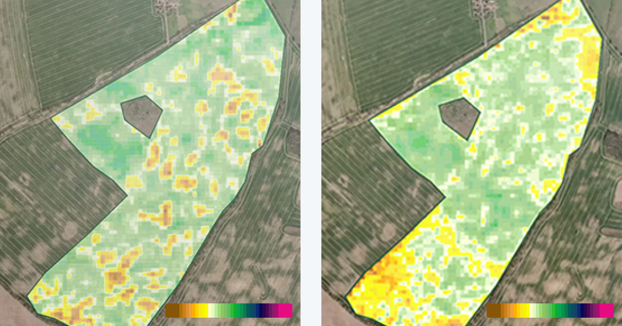 Satellite Crop Monitoring with the Atfarm app by Yara